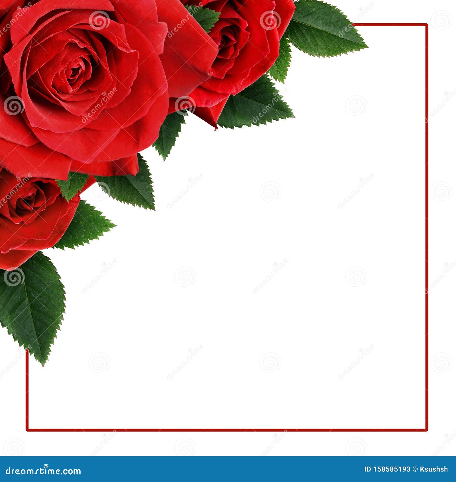 Red Rose Flowers in a Corner Arrangement with Square Frame Stock Image ...