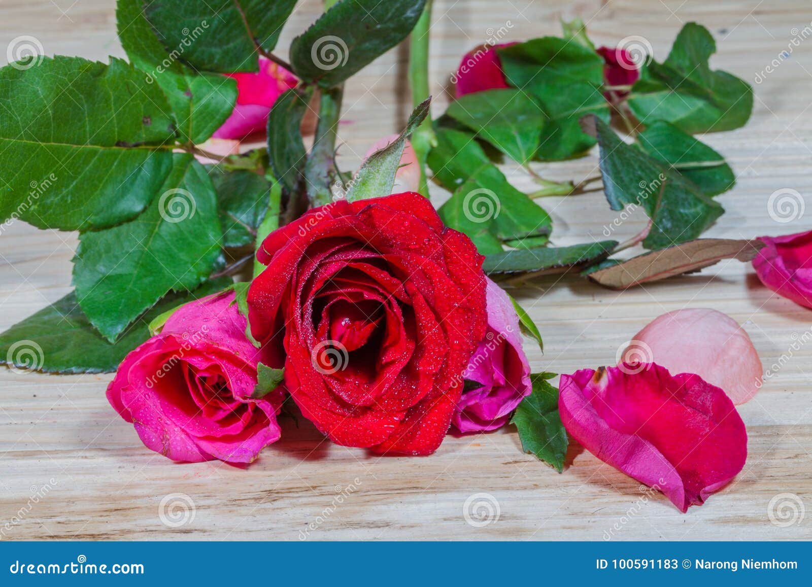 Red rose flowers on table stock image. Image of splash - 100591183