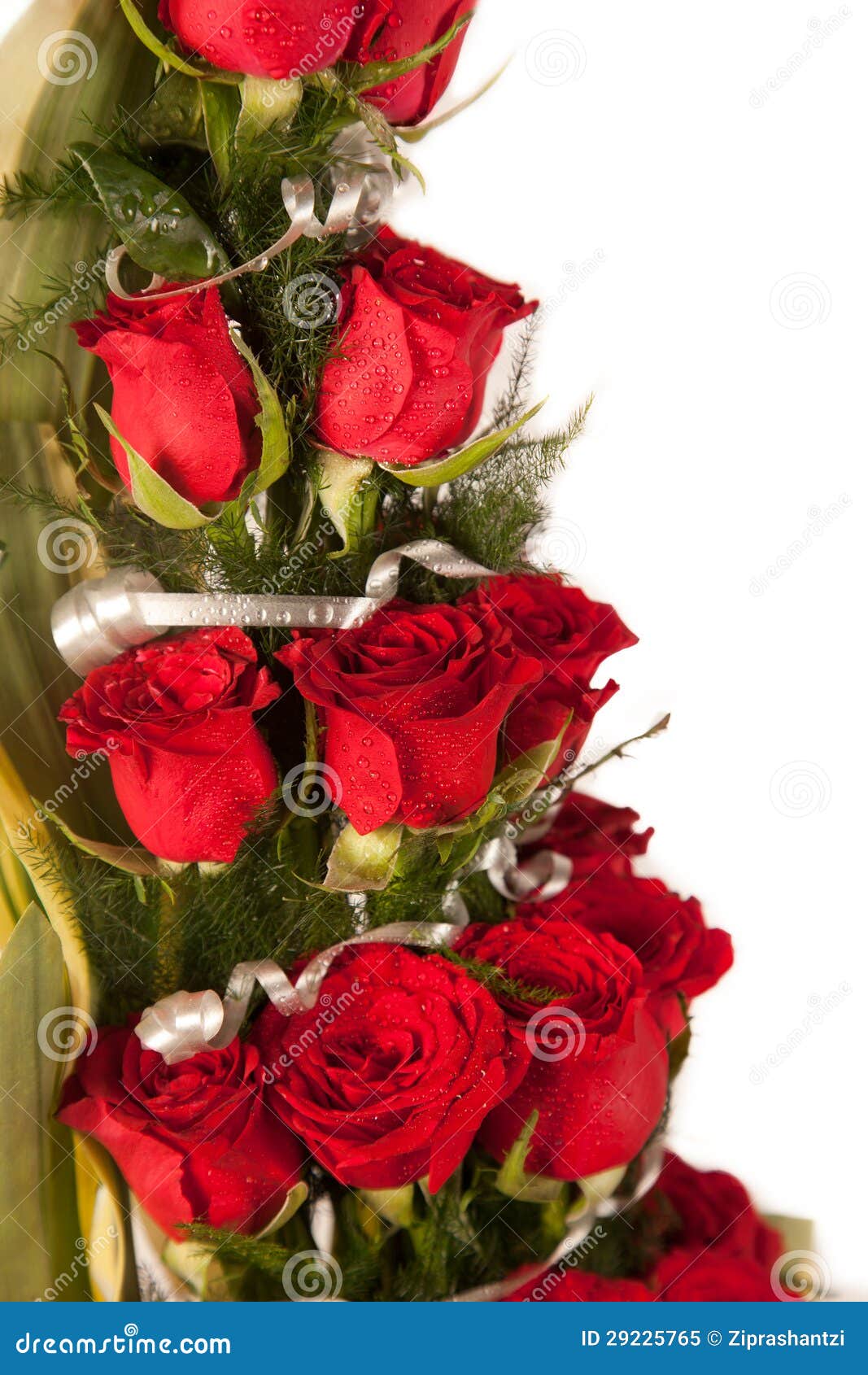 Beautiful Red Roses With Water Droplets