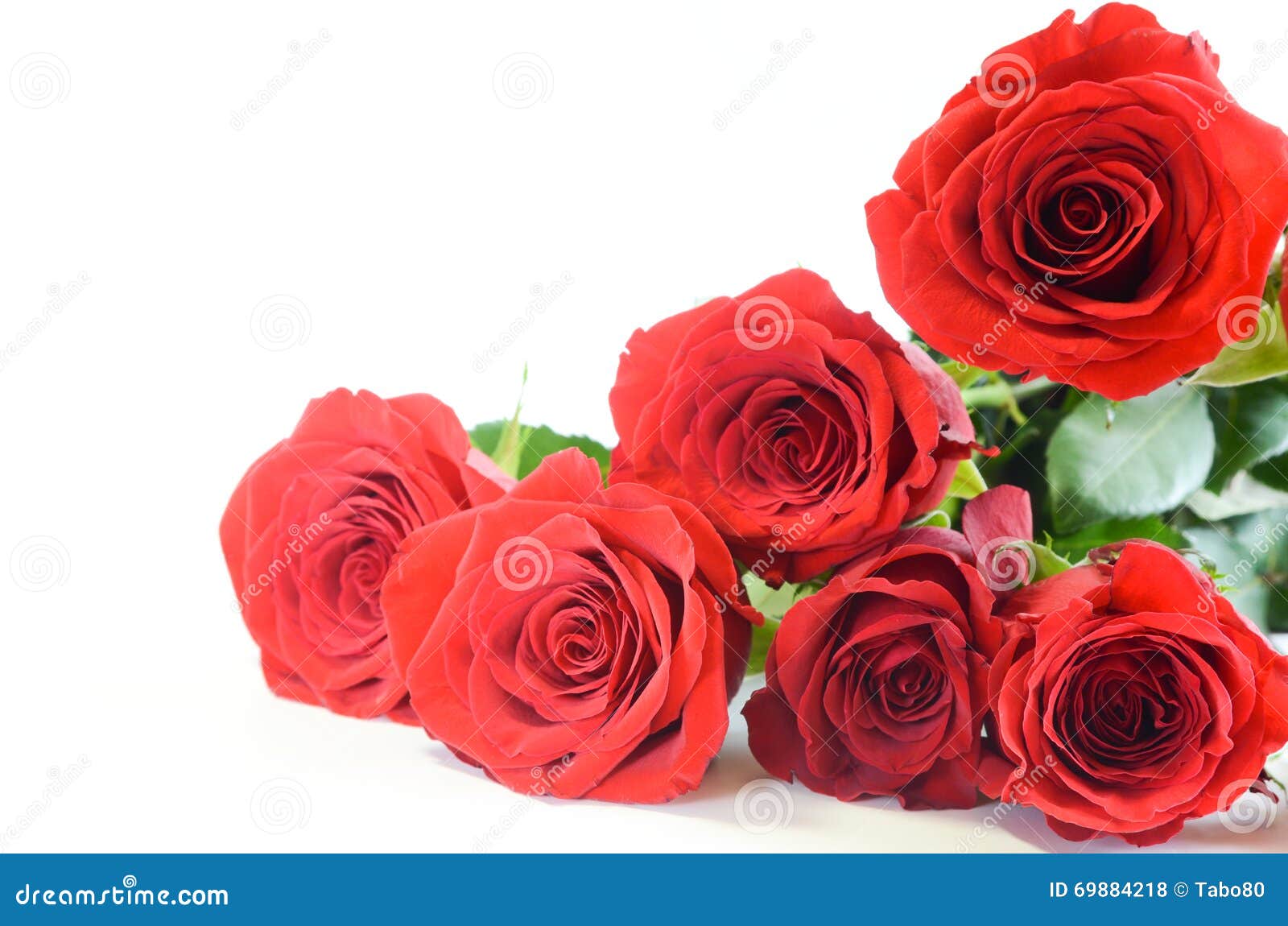 Red Rose Flowers in White Background Stock Photo - Image of background ...
