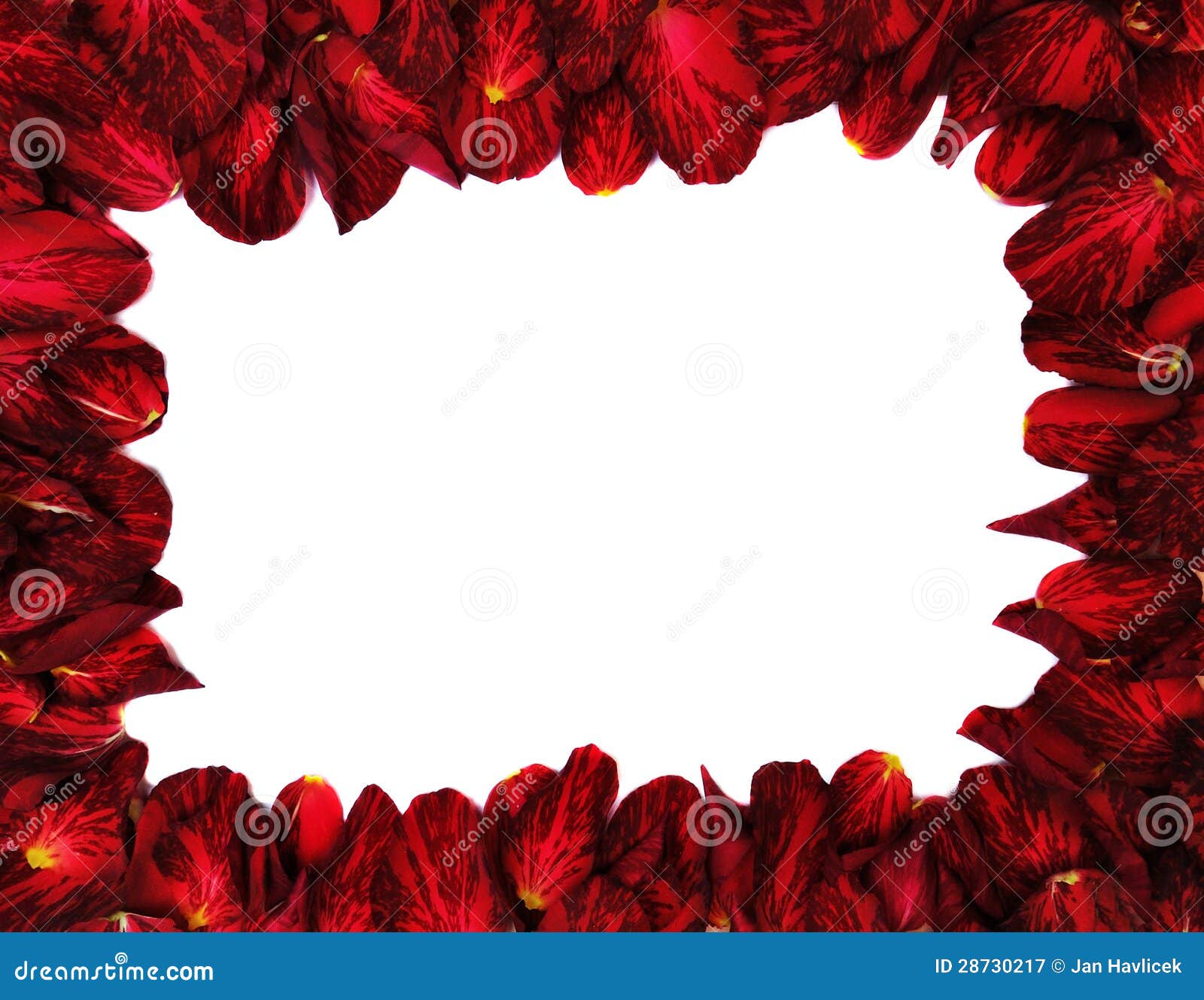 Red rose - frame stock image. Image of marriage, valentine - 28730217