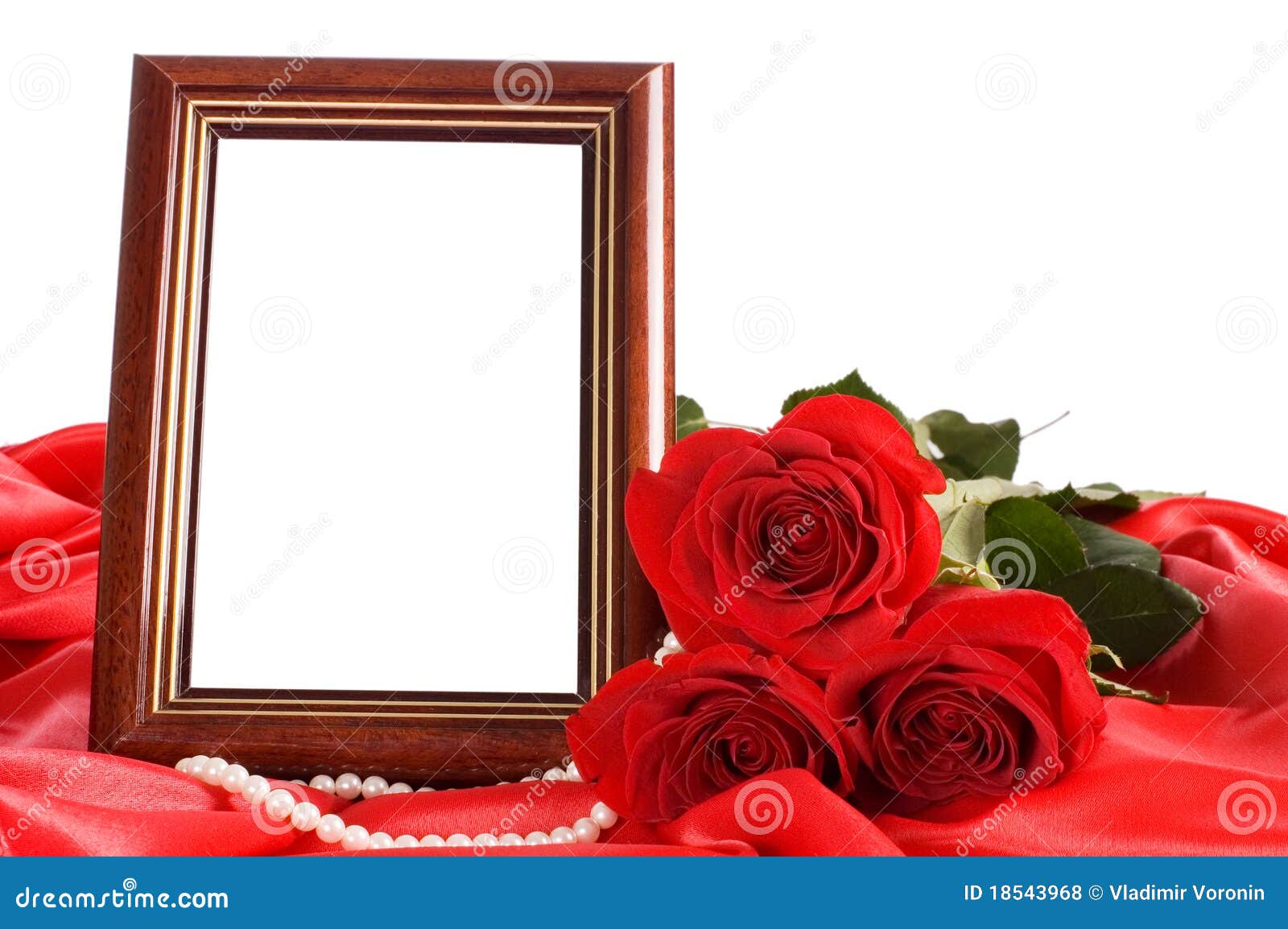 Red Rose with a Framework for a Photo Stock Photo - Image of color ...
