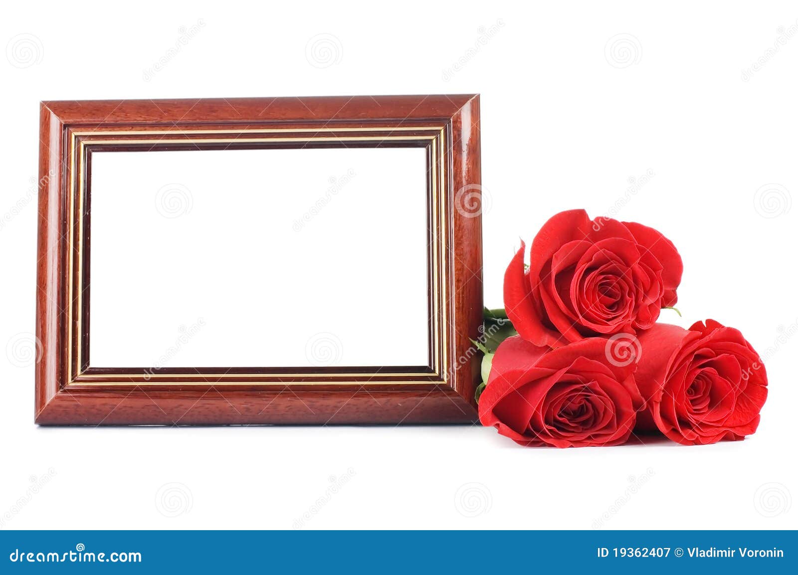 Red Rose with a Framework for Photo Stock Image - Image of flower ...
