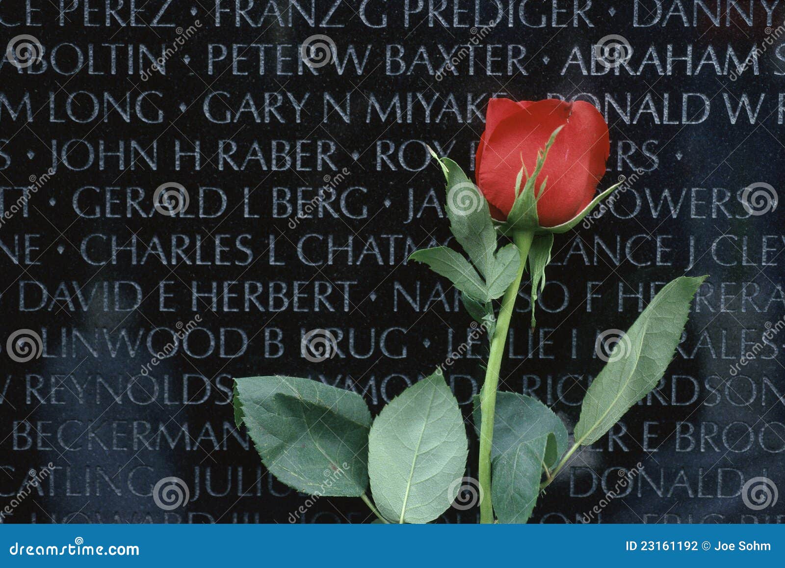 Red Rose in Front of Vietnam Veterans Memorial Editorial Photography ...