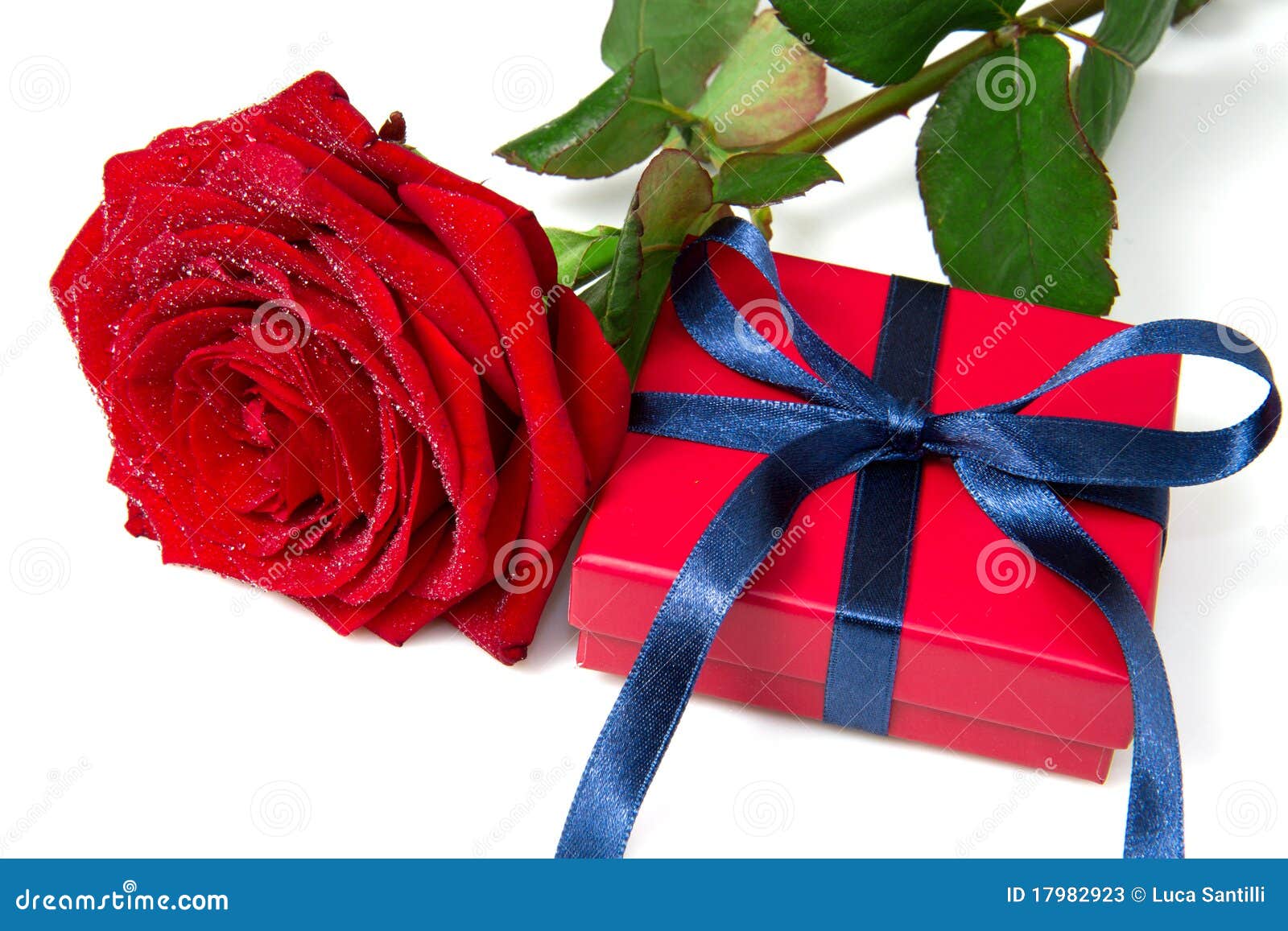 Red rose with gift stock image. Image of celebration - 17982923