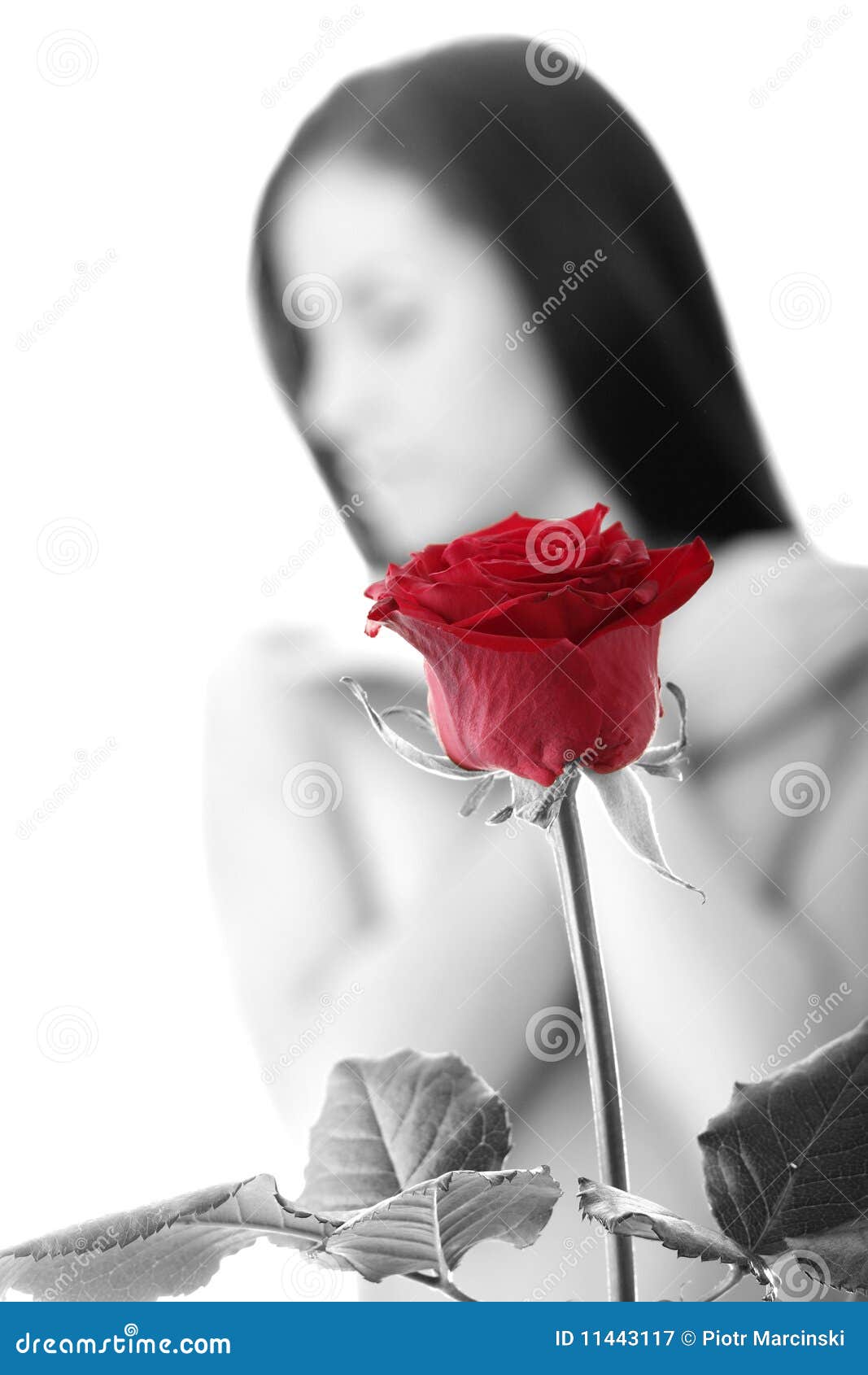 Red rose and girl stock image. Image of passion, petals - 11443117