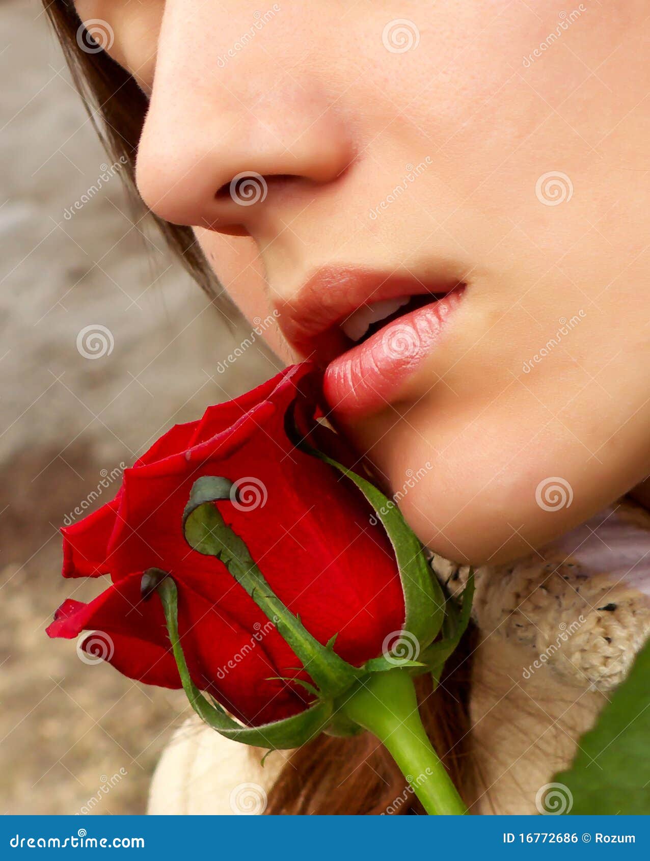 Red rose and girl stock photo. Image of beautiful, human - 16772686