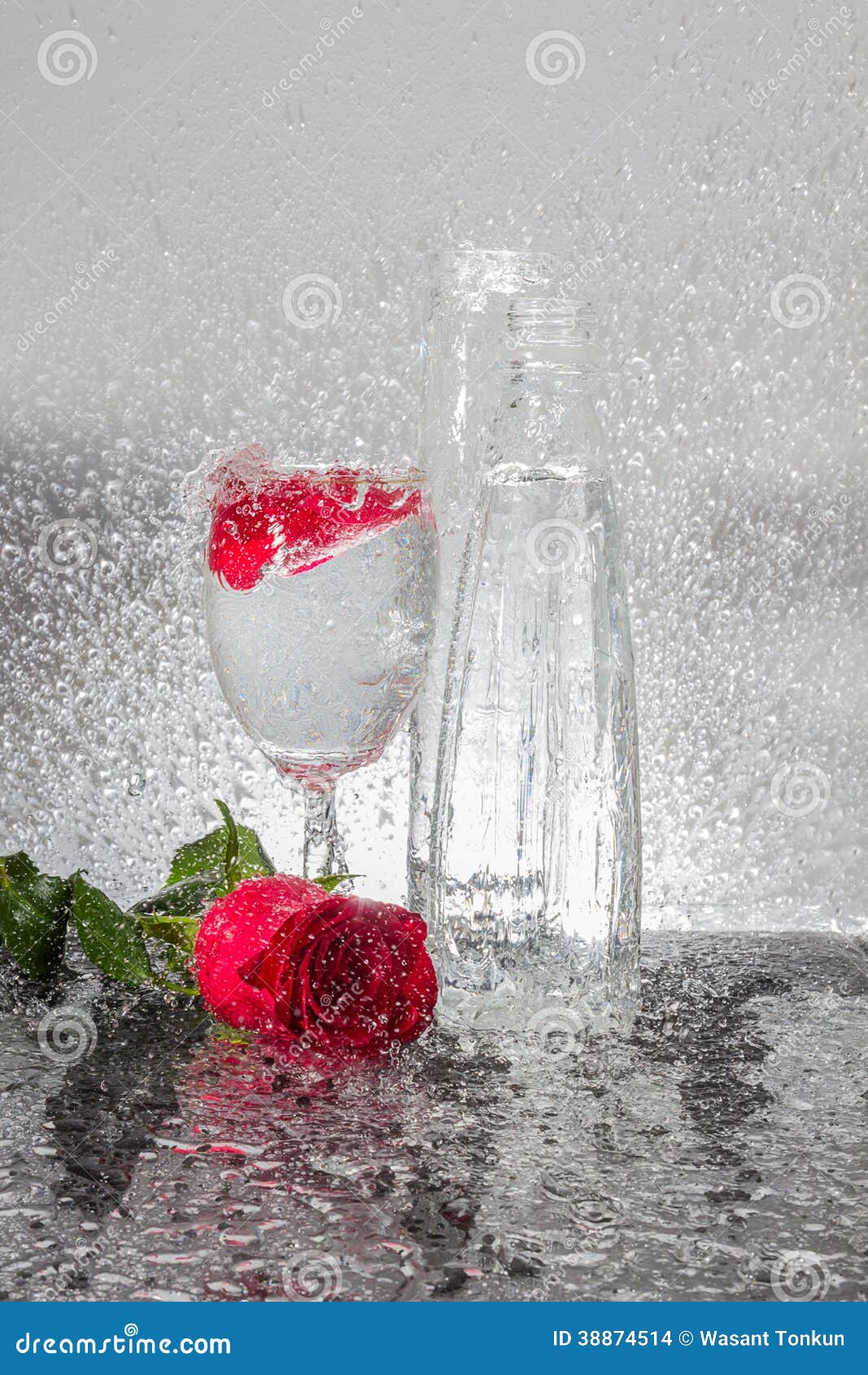 Red Rose on glass stock photo. Image of alone, floral - 38874514