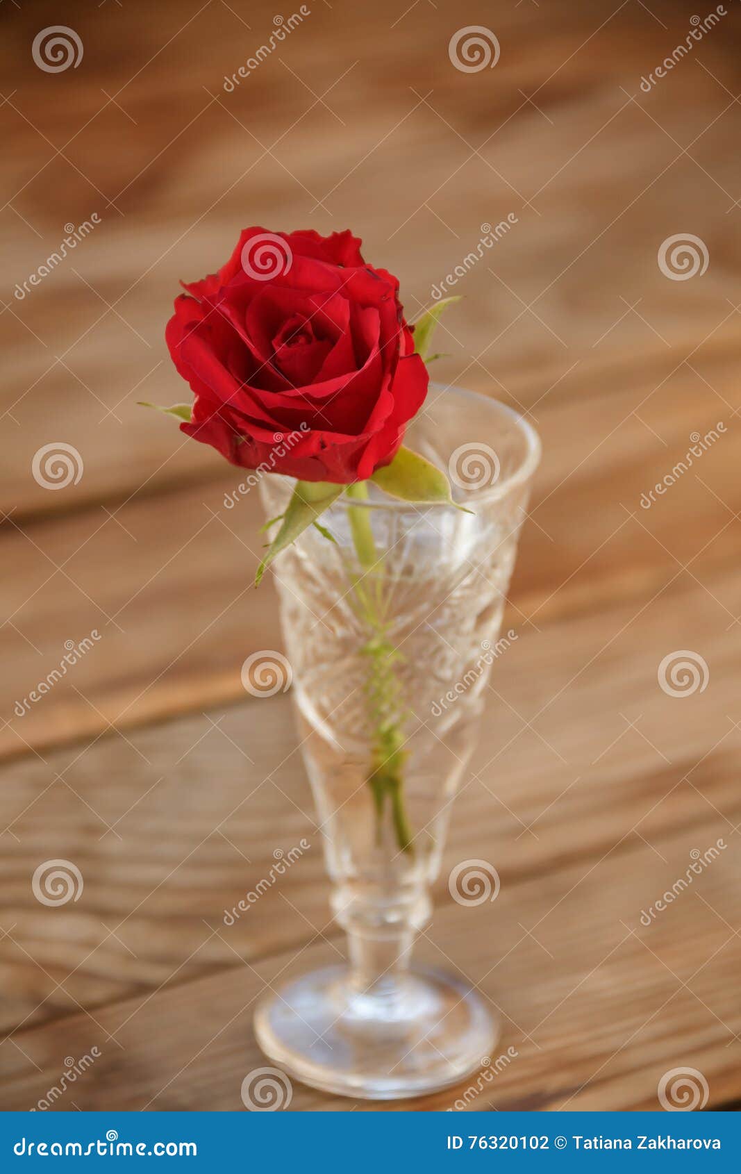 Red Rose in a Glass. Red.rose Stock Photo - Image of memories, empty ...