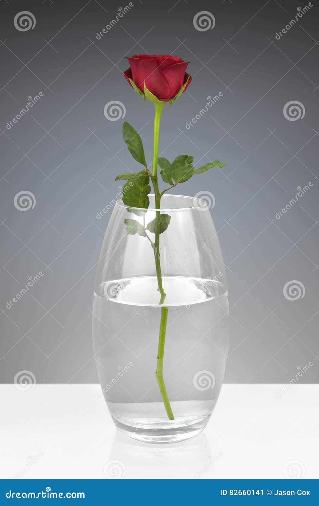 Red rose in a glass vase stock image. Image of love, valentines - 82660141