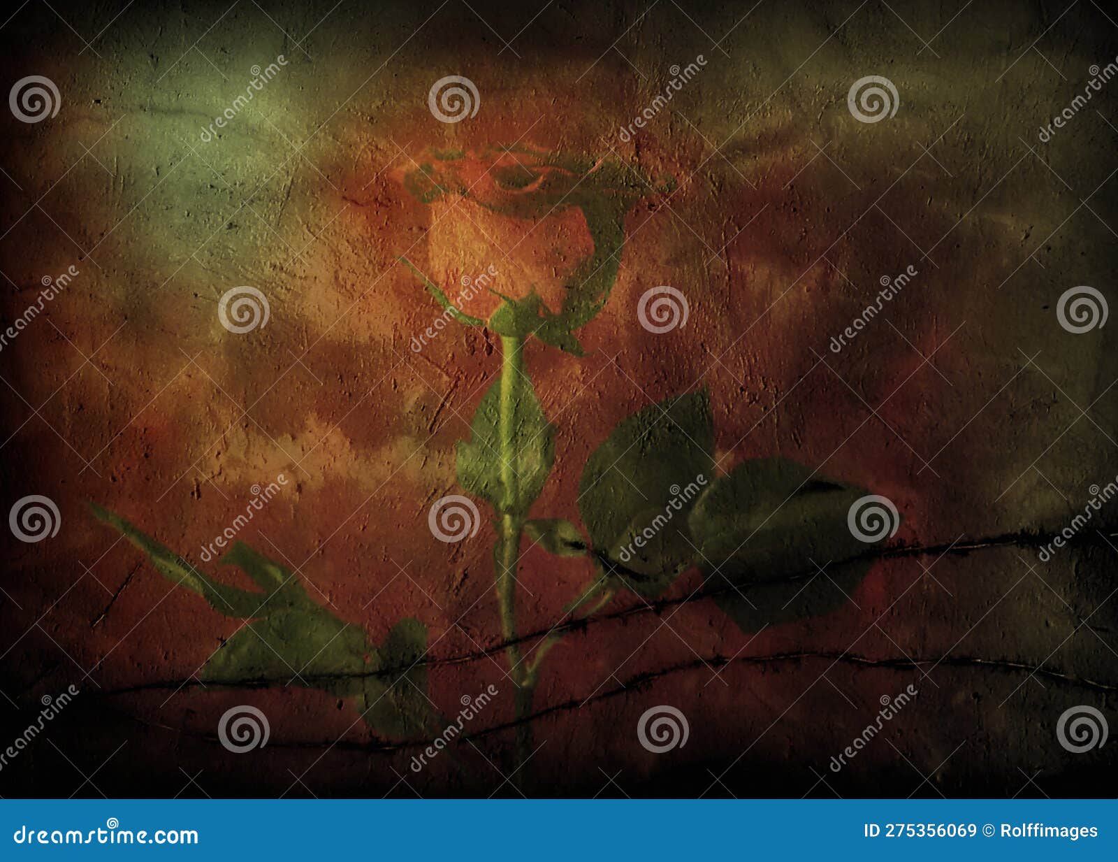Red Rose on Grunge Background Stock Illustration - Illustration of ...