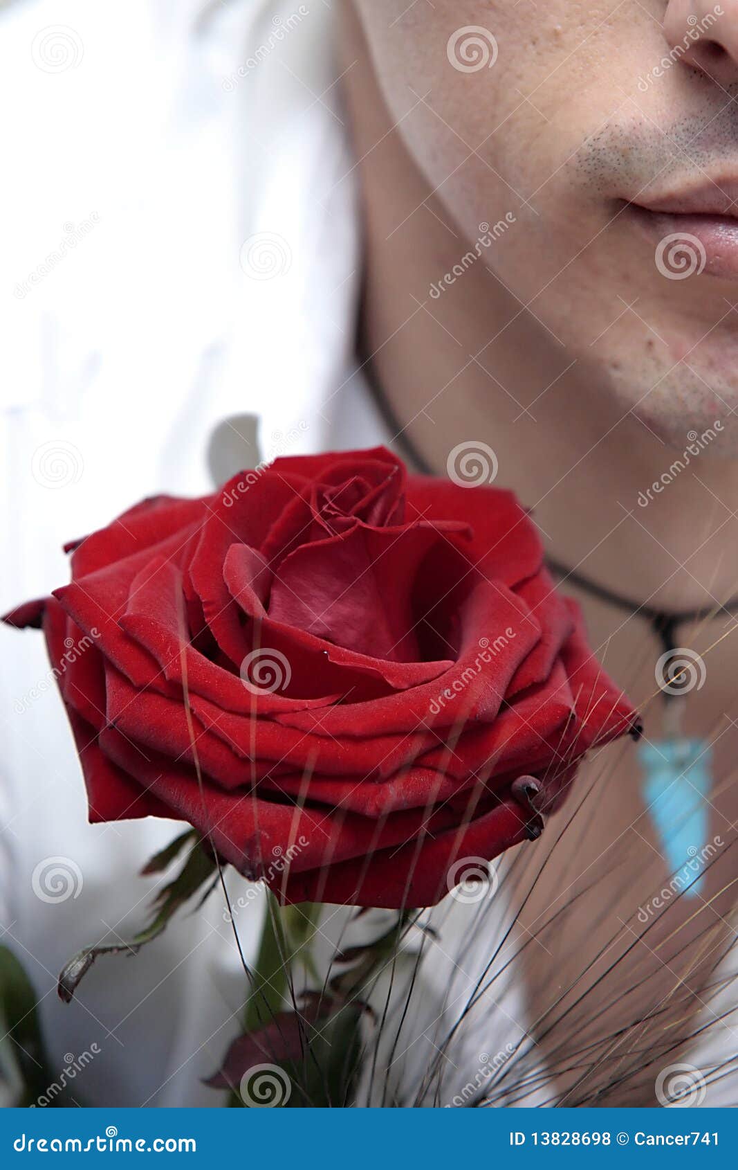 Red rose half face stock photo. Image of pile, event - 13828698