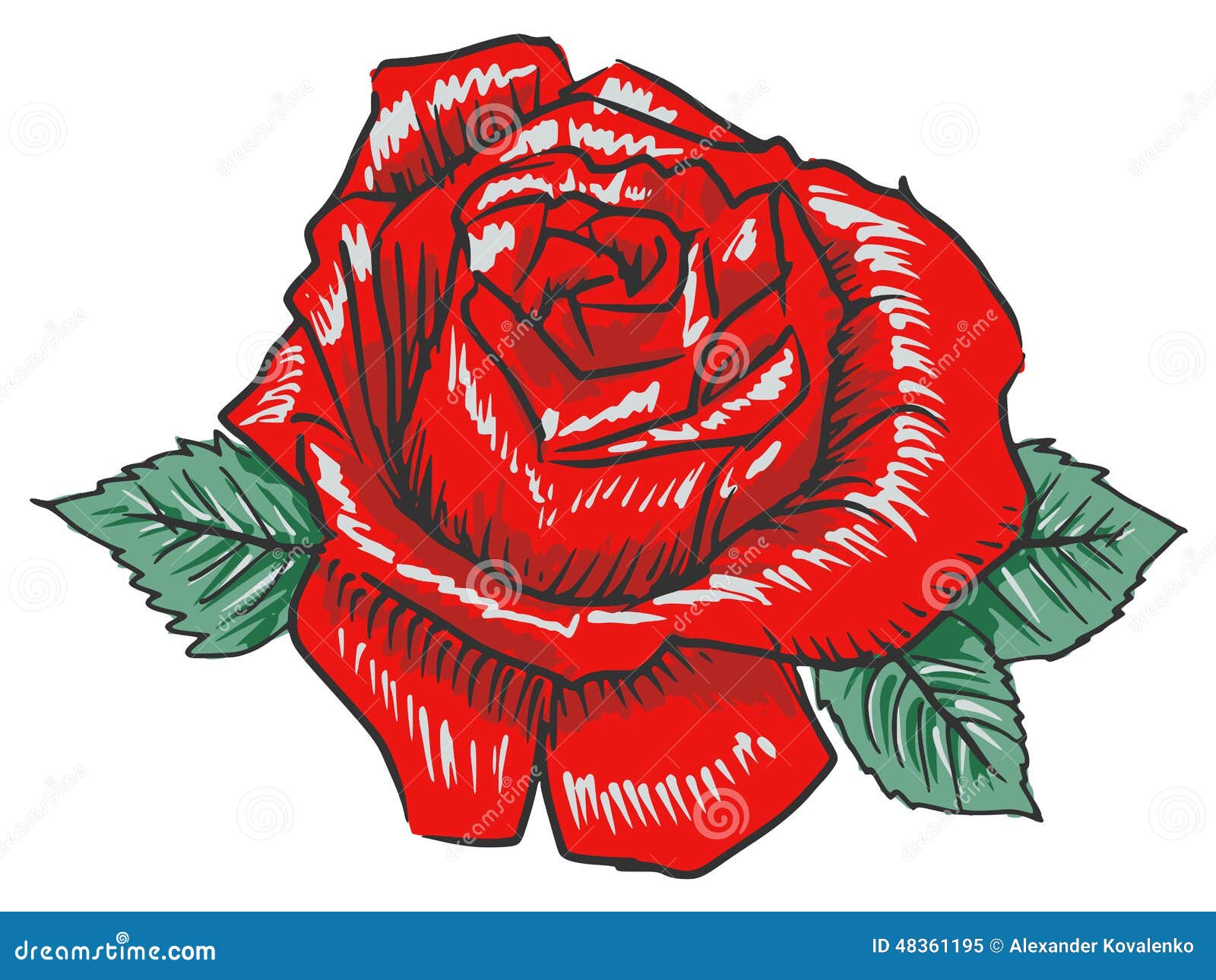 Red rose stock vector. Illustration of drawn, romance - 48361195