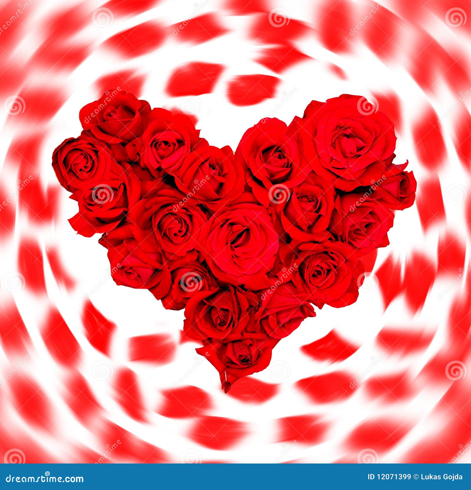 Red rose heart stock image. Image of valentine, fresh - 12071399