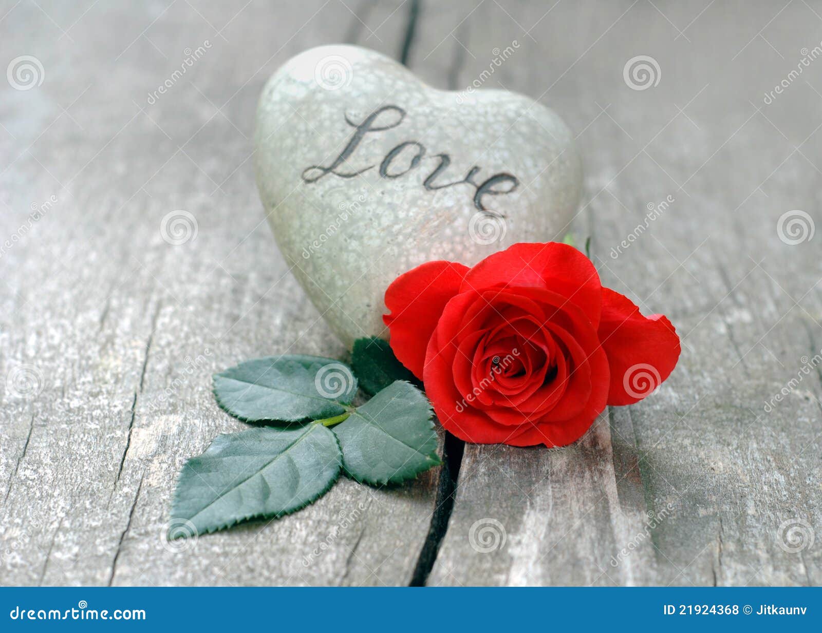 Red rose with heart stock photo. Image of heart, rose - 21924368
