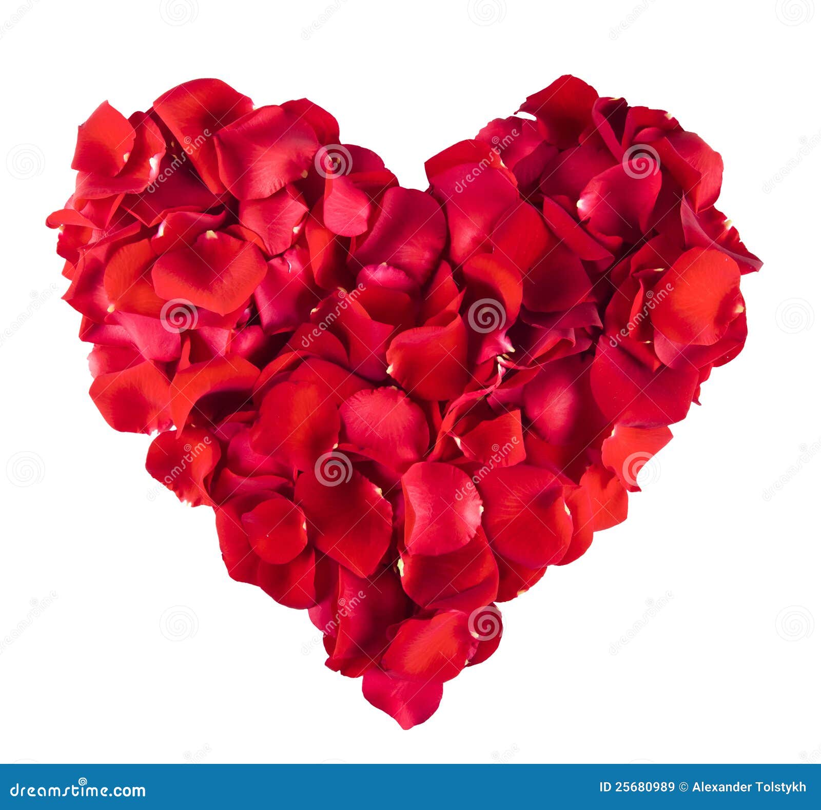 Red Rose heart stock image. Image of rose, shaped, flower - 25680989