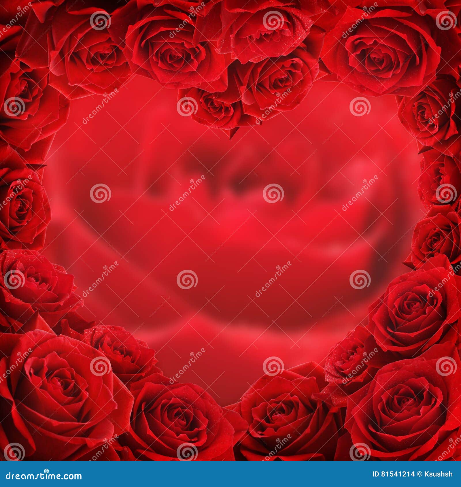 Red Rose Heart Shape Frame and Flower Stock Photo - Image of decor ...