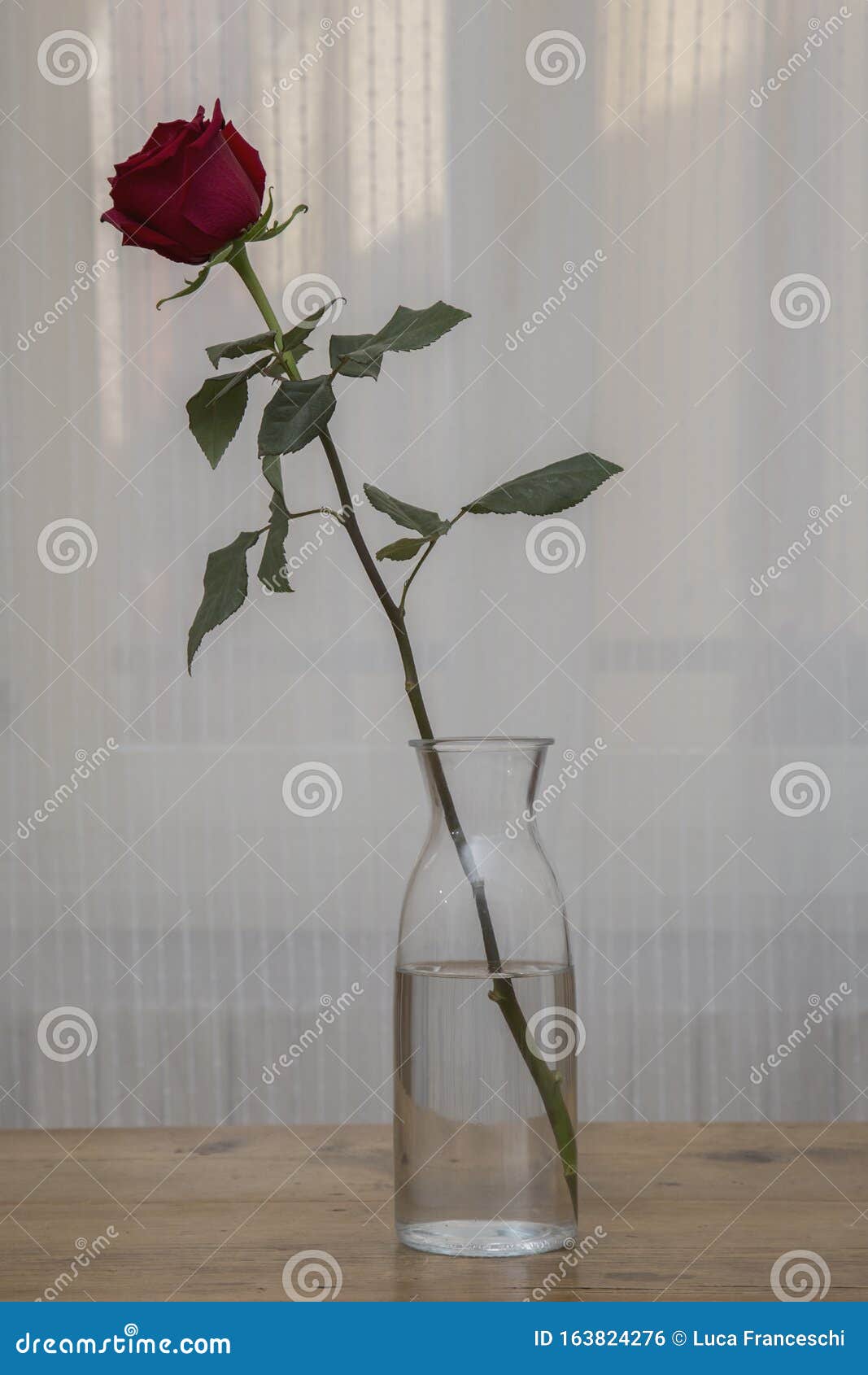 Red Rose Inside a Glass Vase Stock Photo - Image of confetti, buffet ...