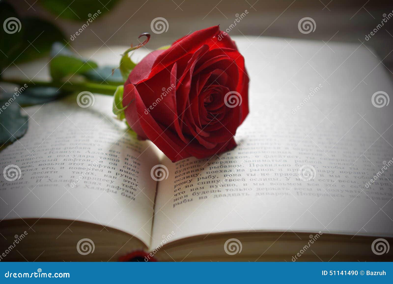 Red Rose on Interesting Book Editorial Image - Image of flower ...