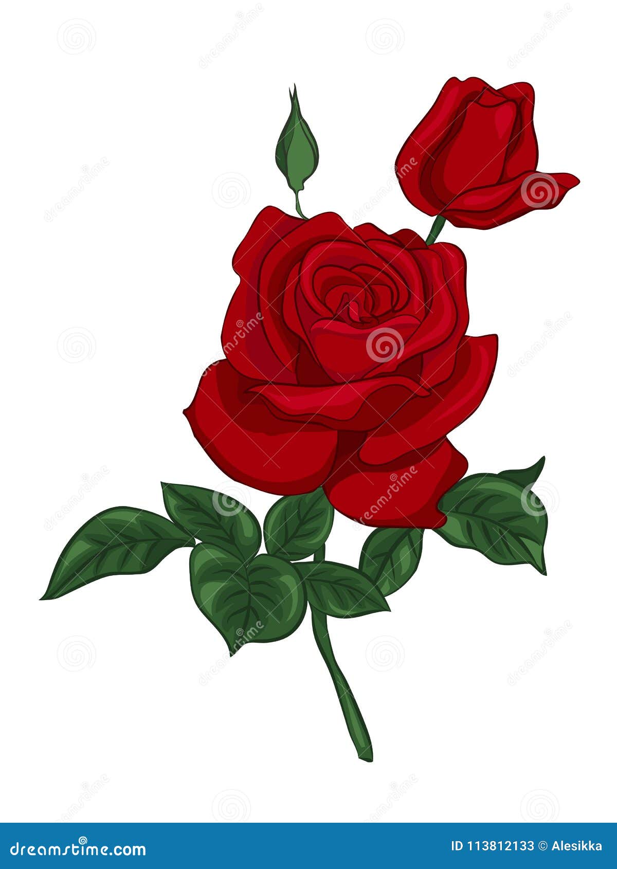 Single red rose stock vector. Illustration of outline - 113812133