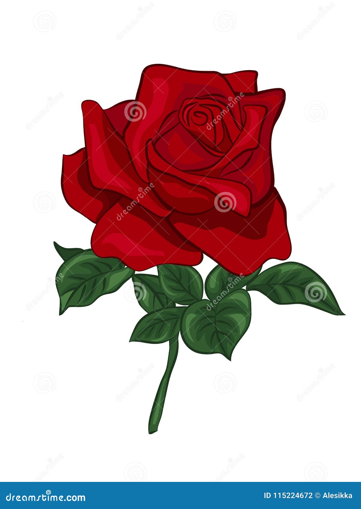 Single red rose stock vector. Illustration of beauty - 115224672
