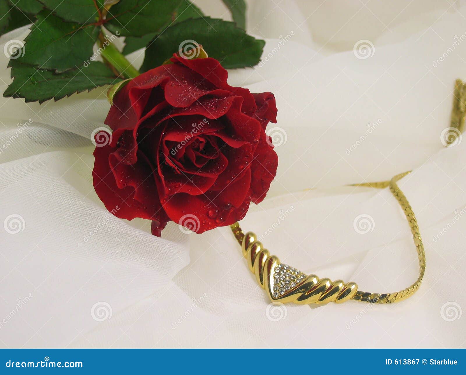 Red rose and jewelry stock image. Image of drop, romantic - 613867