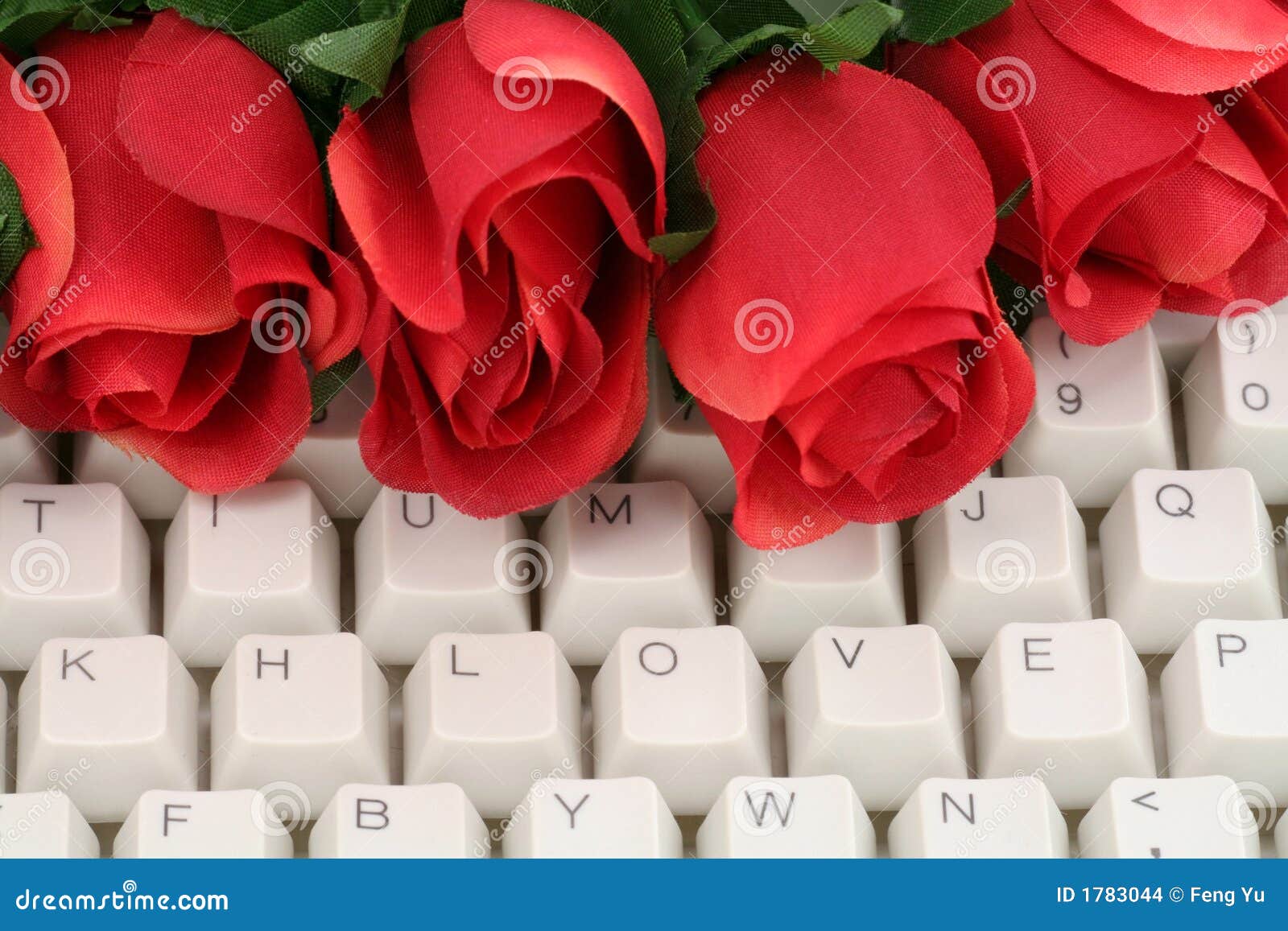 Red rose and keyboard stock photo. Image of petal, blossom - 1783044