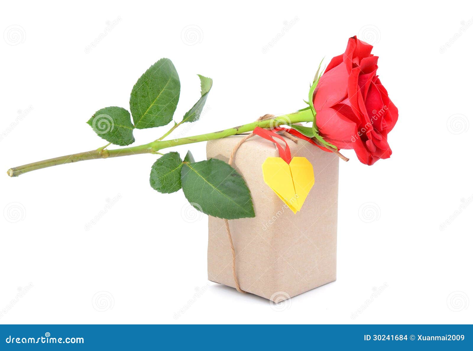 A red rose and parcel stock photo. Image of blossom, beautiful - 30241684