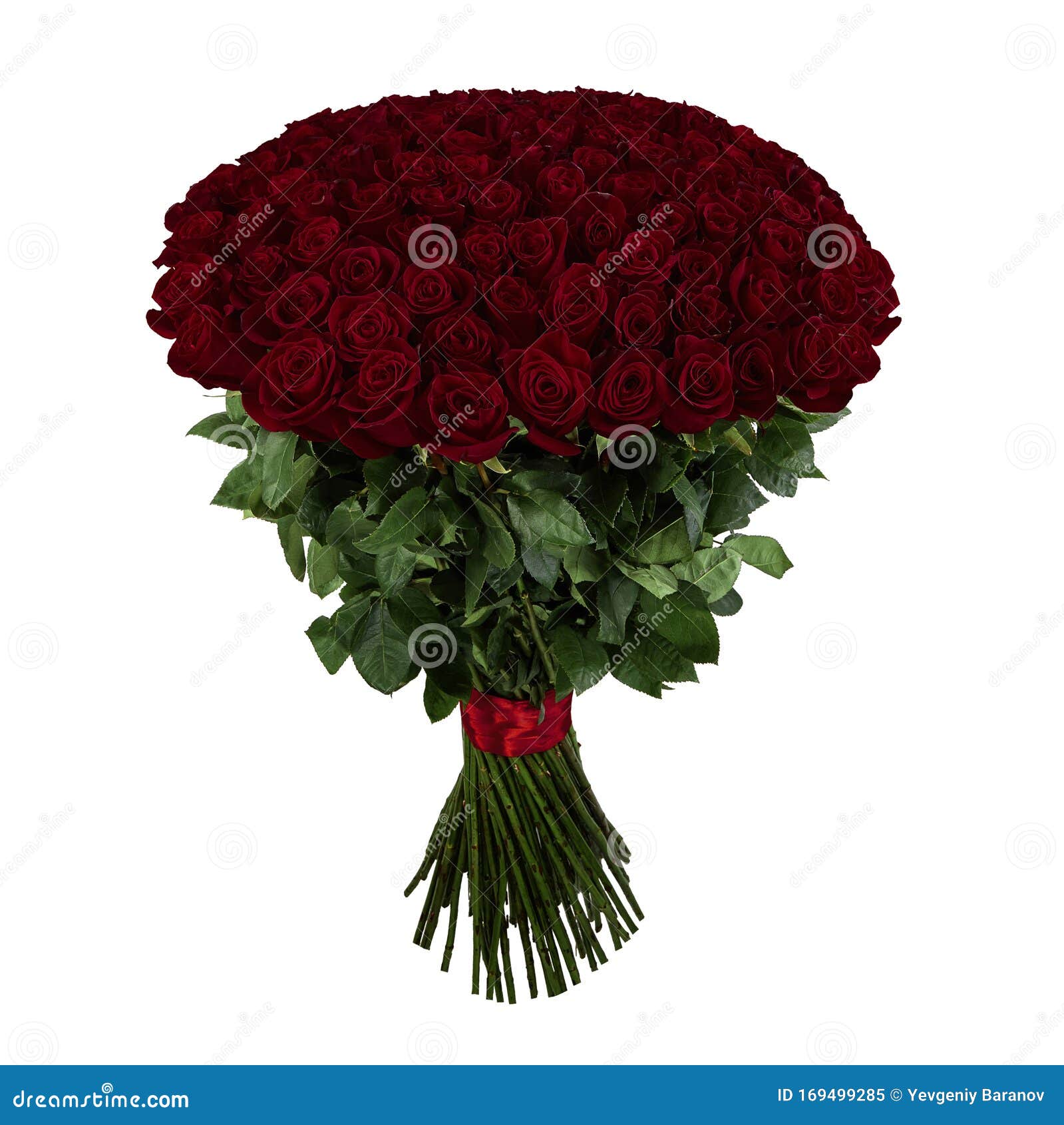 Red Rose. Large Bouquet of 101 Red Rose Stock Image - Image of romance ...