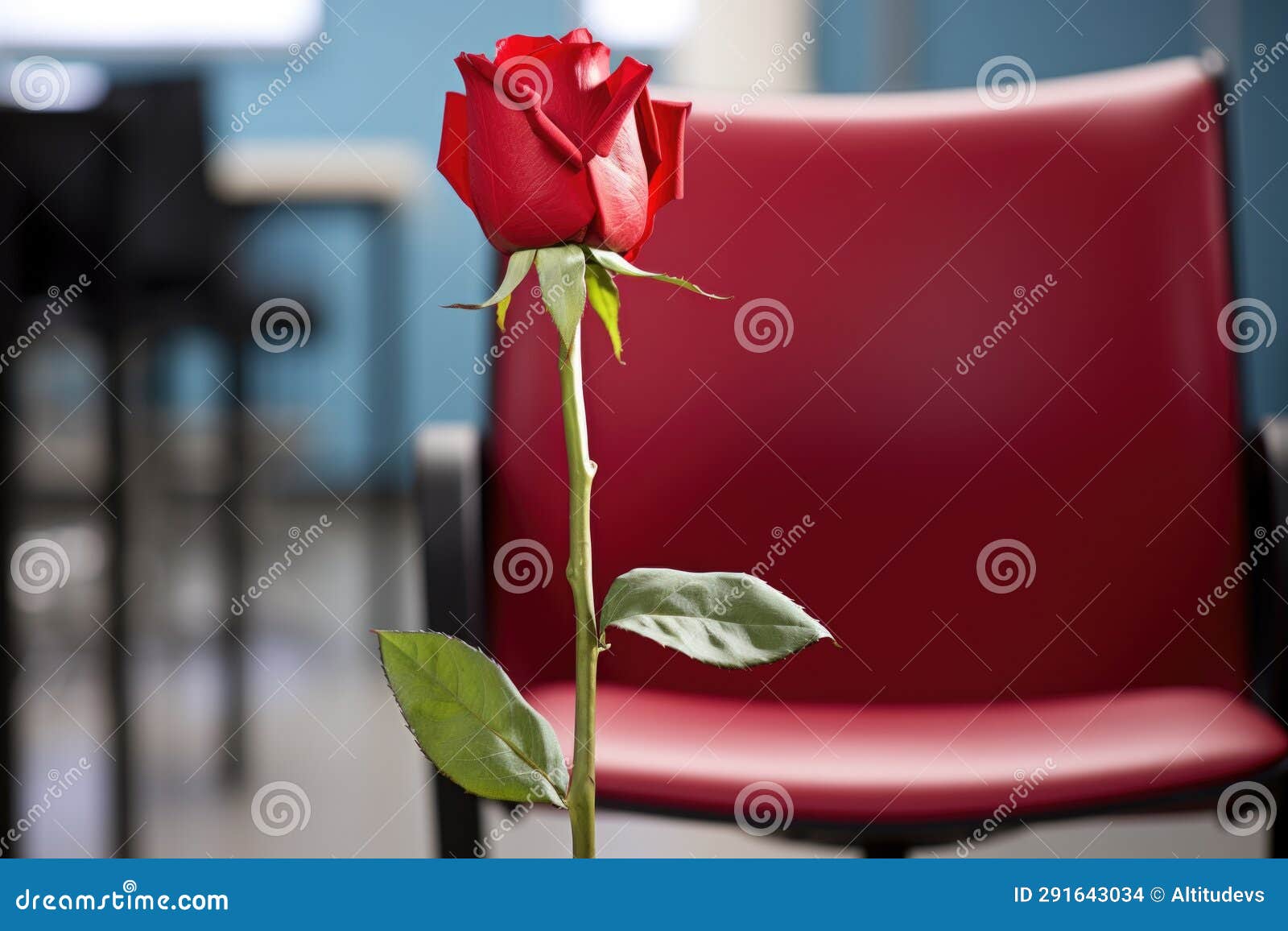 A Red Rose Left on an Empty Office Chair Stock Photo - Image of still ...