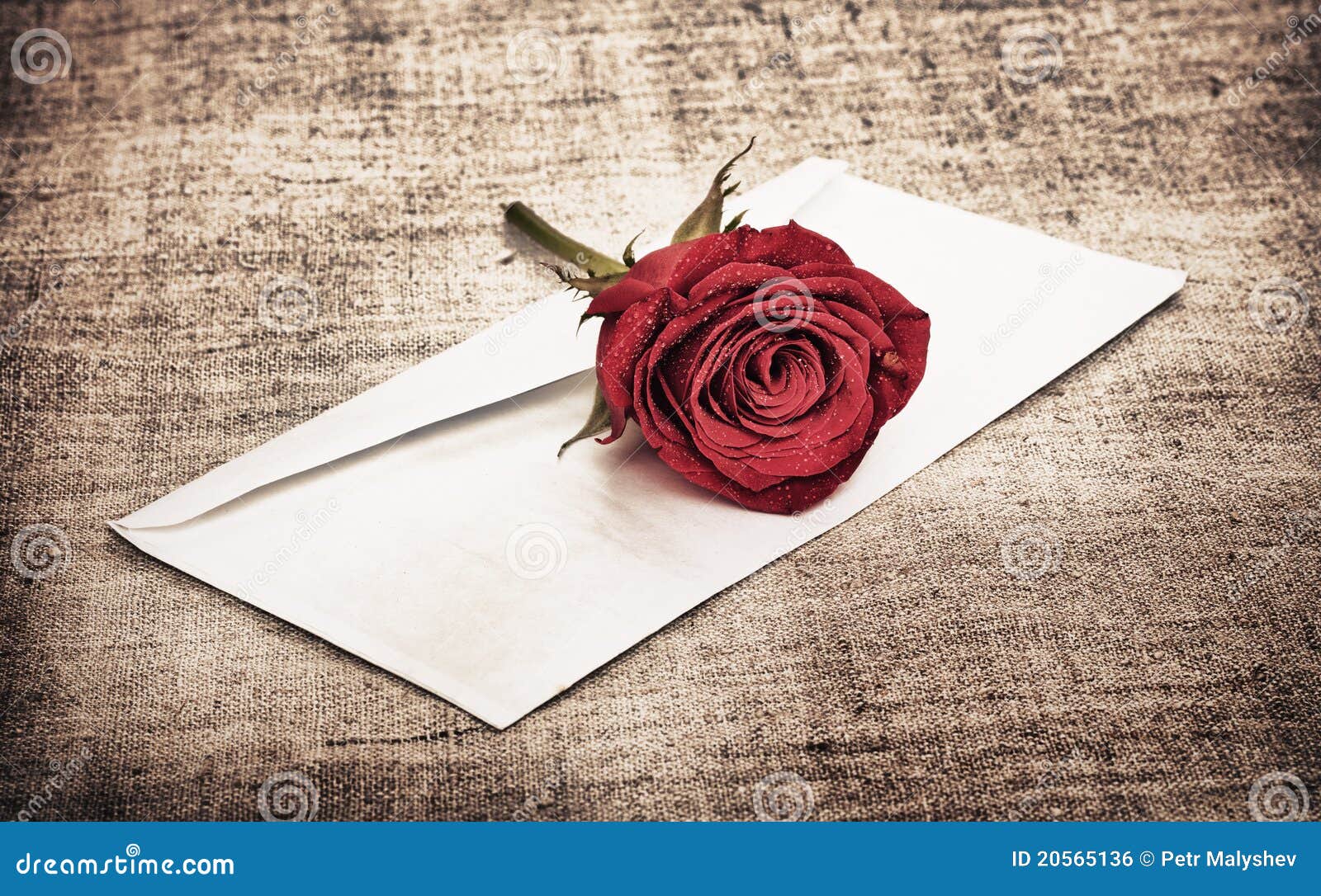 Red Rose and Letter stock photo. Image of blossom, flower - 20565136