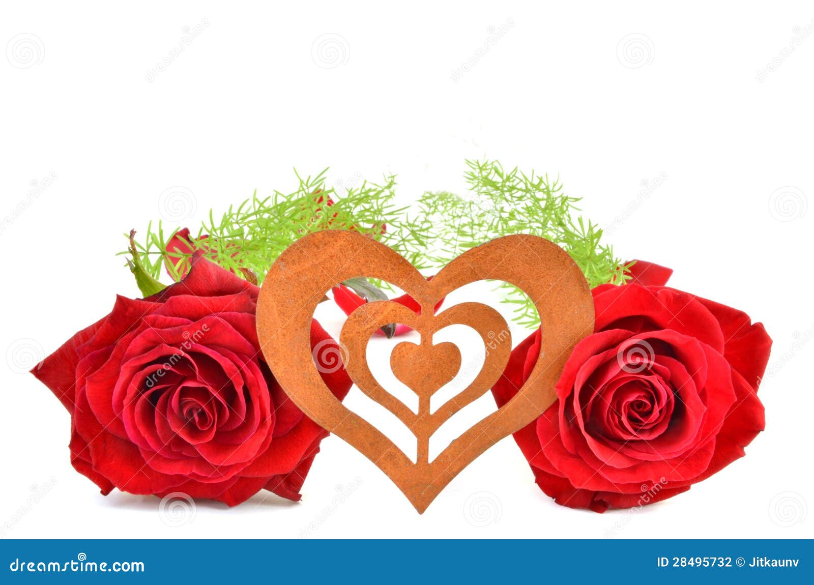 Red rose for love stock photo. Image of lovers, marriage - 28495732