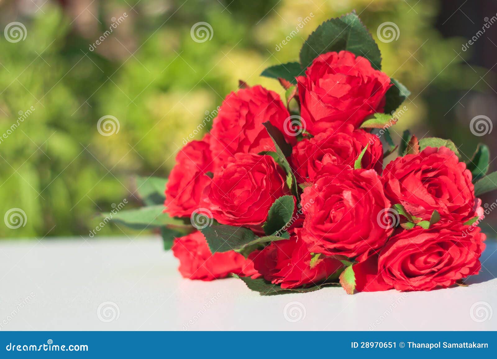 Red rose for love stock image. Image of design, fresh - 28970651