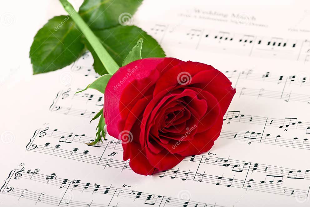 Red rose and music stock image. Image of music, composer - 33059153