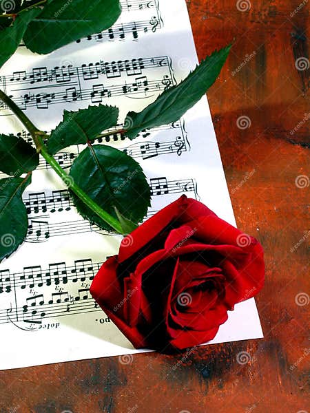 Red rose and music sheet stock photo. Image of passion - 381524