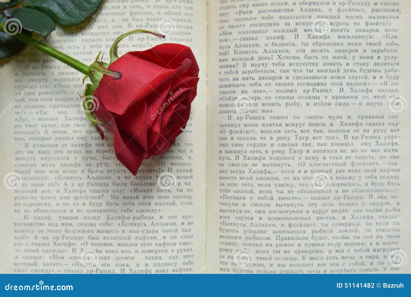 Red rose on open book editorial photography. Image of aroma - 51141482