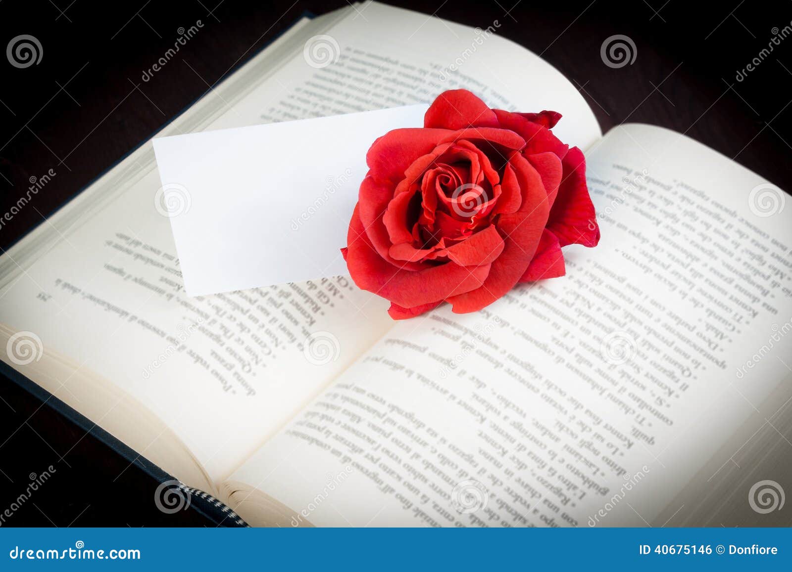 Red Rose on the Open Book with Blank Gift Card for Text Stock Photo ...