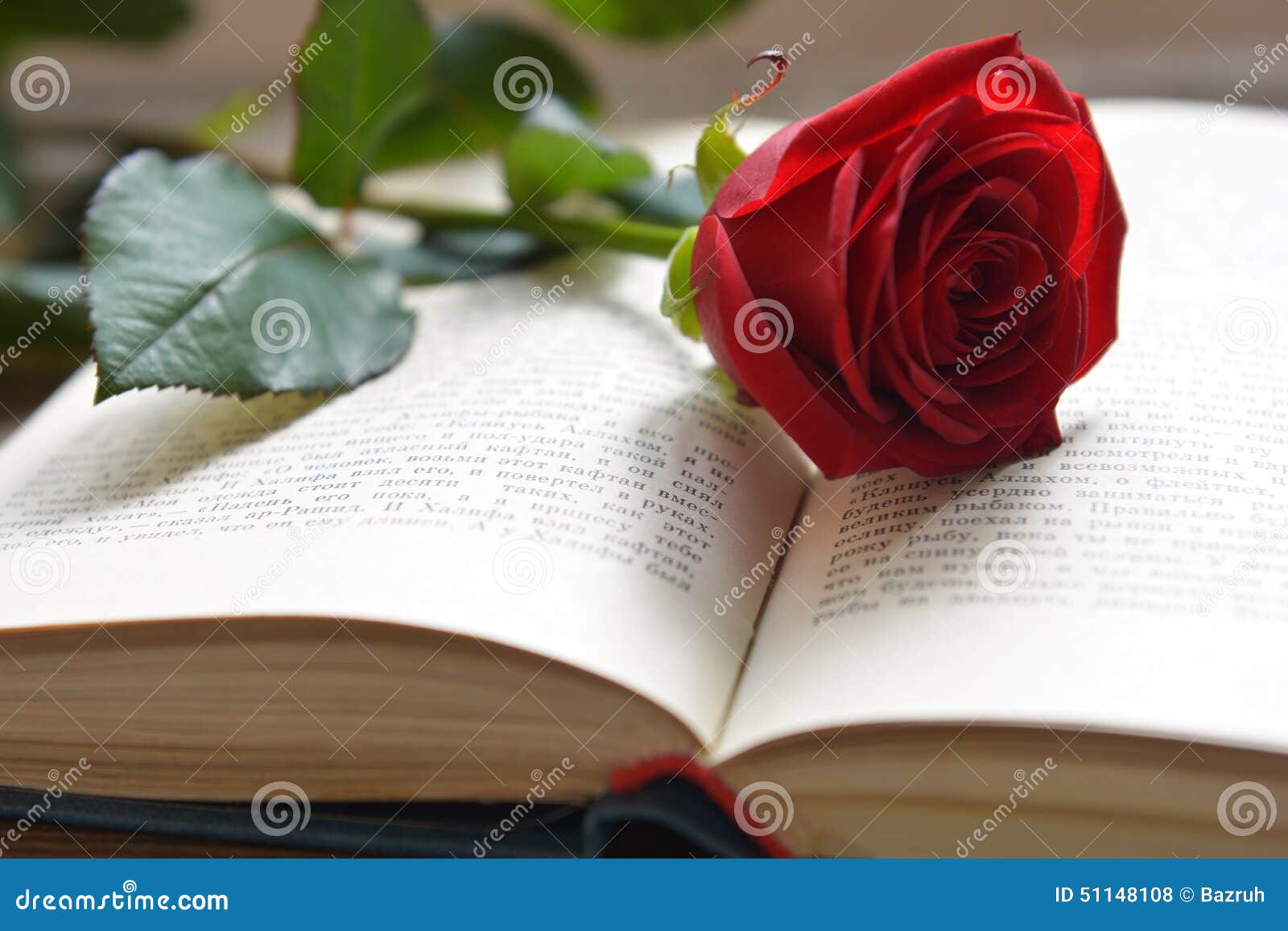 Red rose on opened book stock photo. Image of bamboo - 51148108