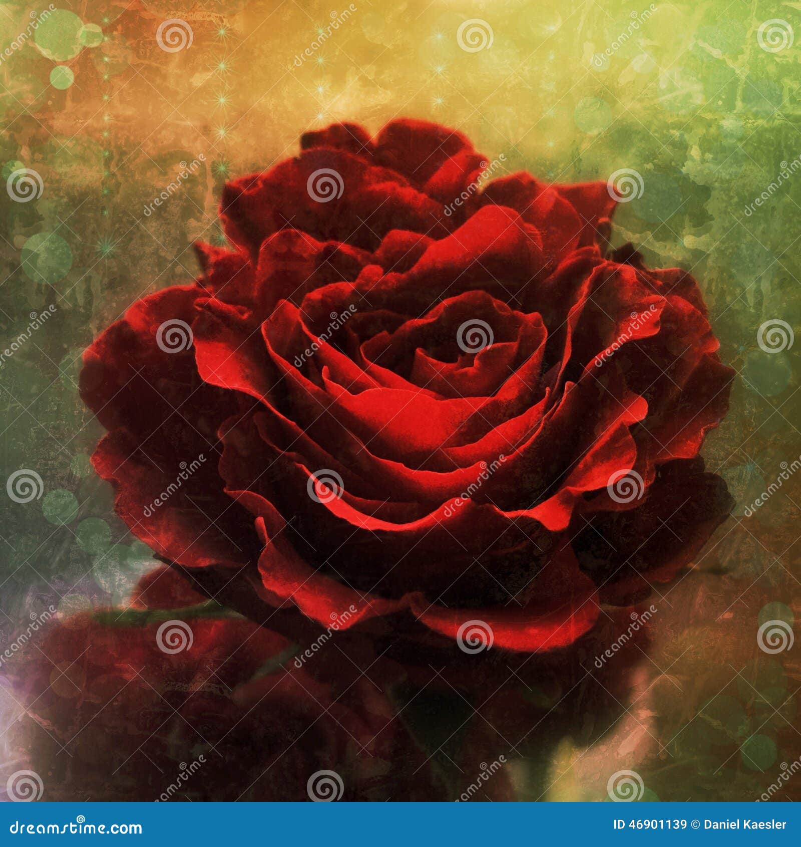 Red rose painting look stock image. Image of painting - 46901139