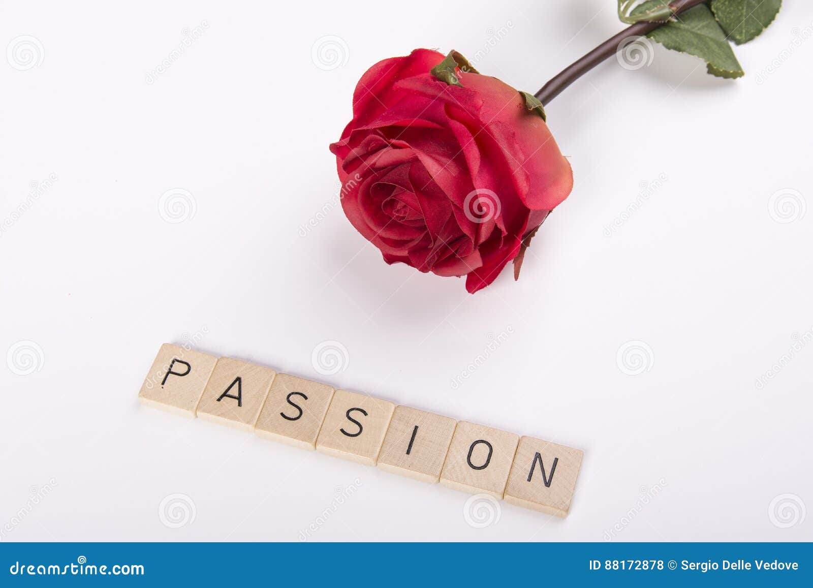 Red rose and Passion stock photo. Image of flower, natures - 88172878