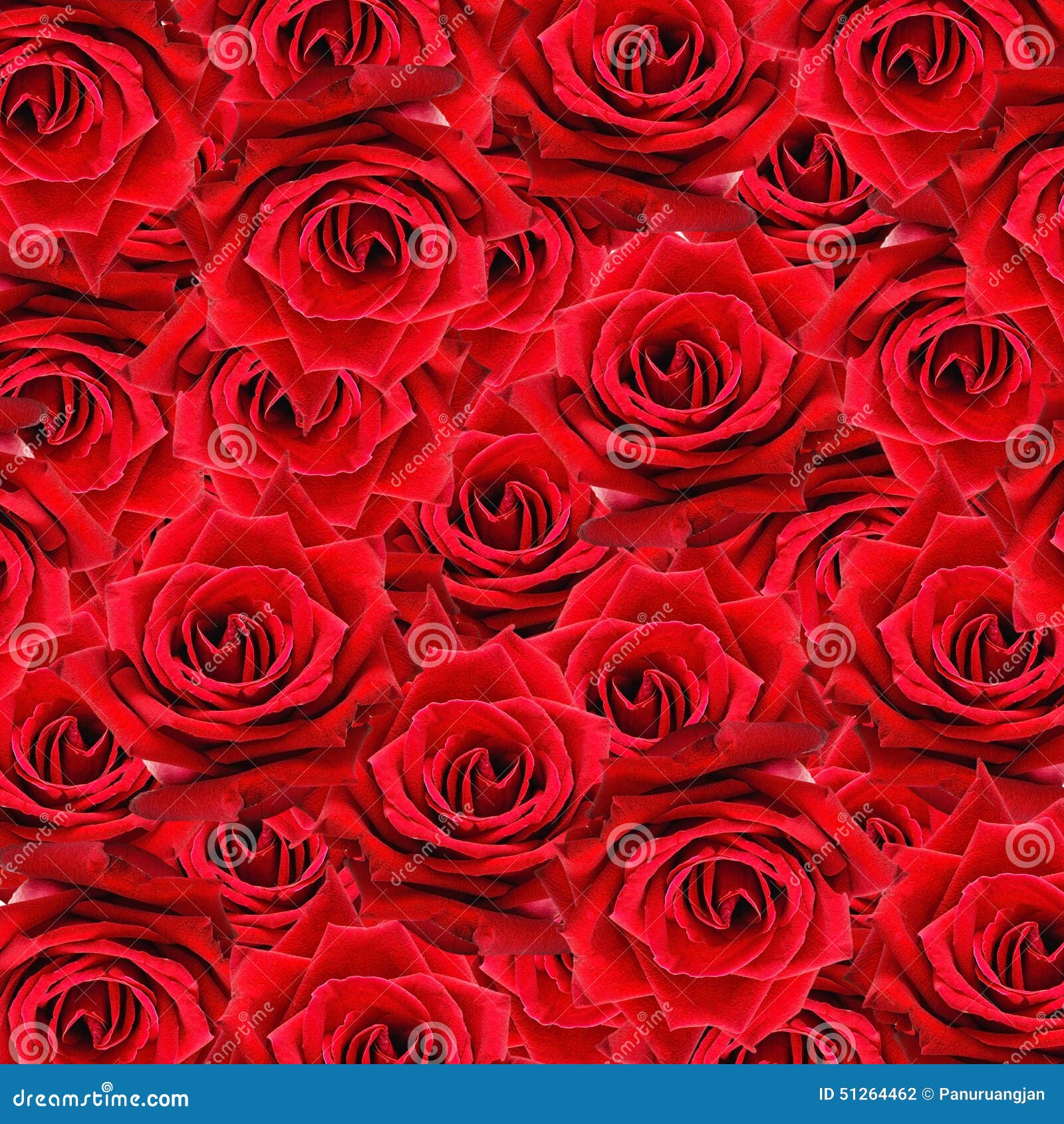 Red rose pattern stock photo. Image of roses, bouquet - 51264462