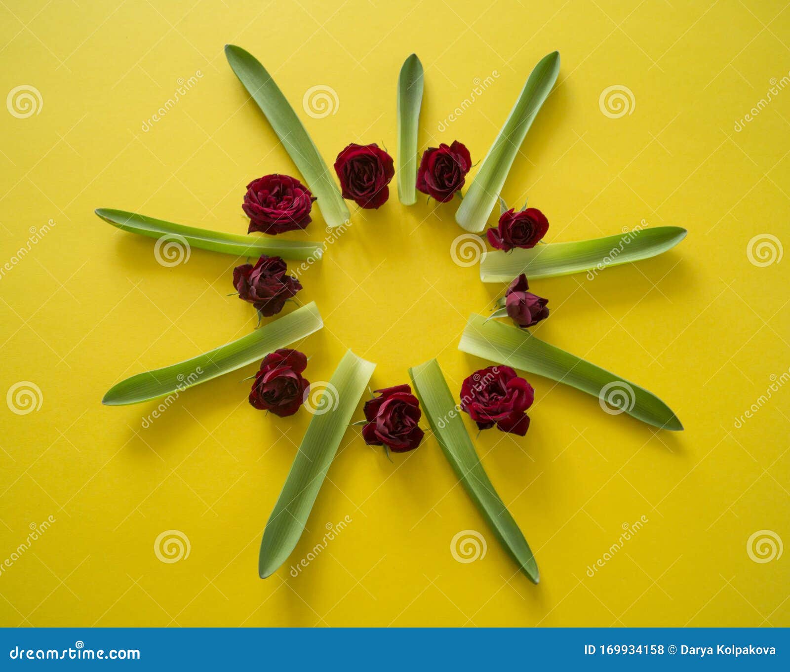 Red Rose Pattern.Flower Mandala Stock Photo - Image of hovering ...