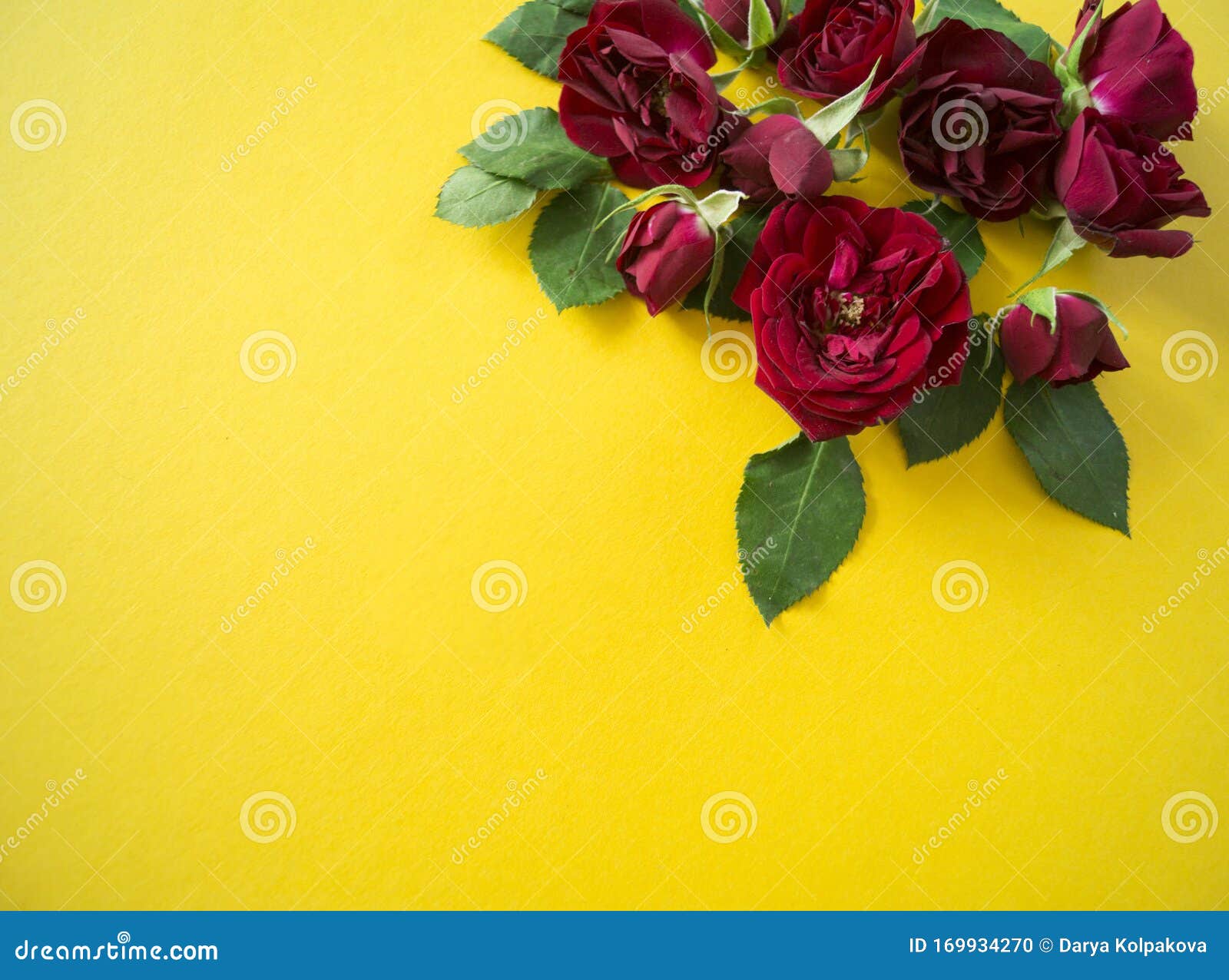 Red Rose Pattern.Flower Mandala Stock Photo - Image of floral, falling ...