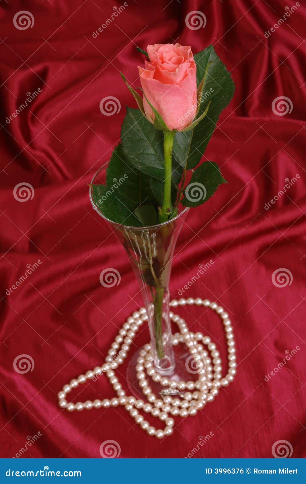 Red rose and pearls stock photo. Image of gift, glamor - 3996376