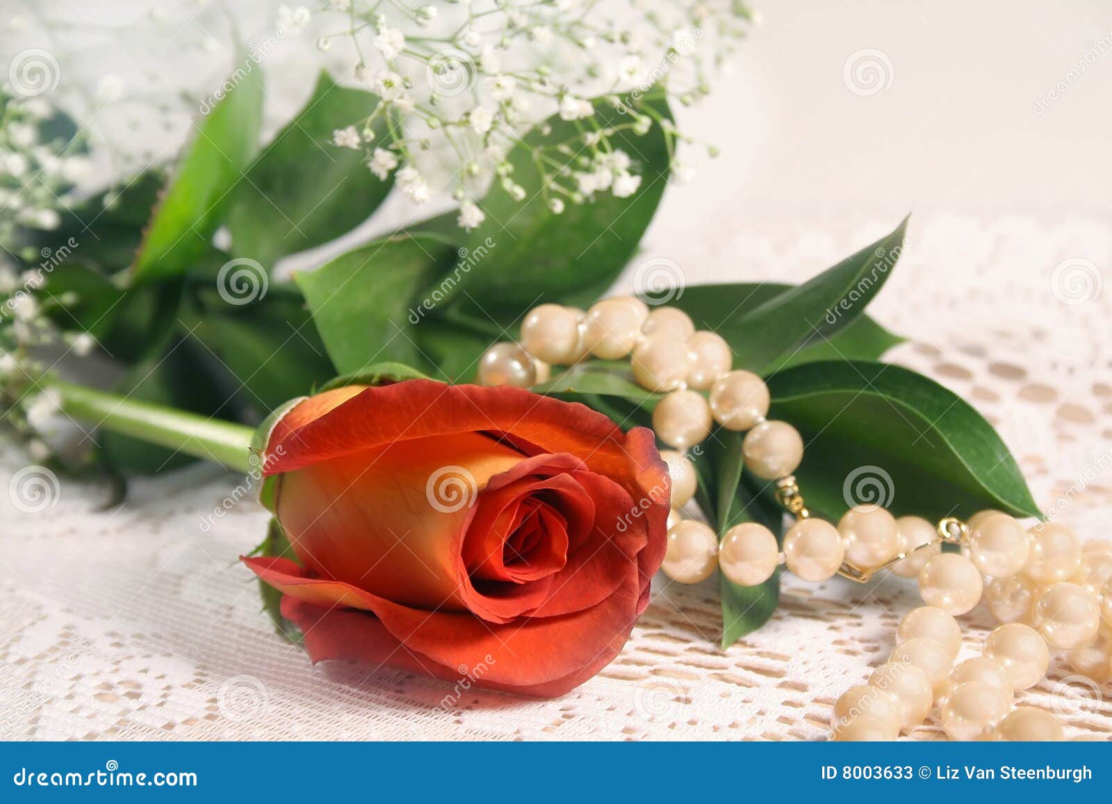 Red Rose Pearls stock image. Image of flower, long, necklace - 8003633