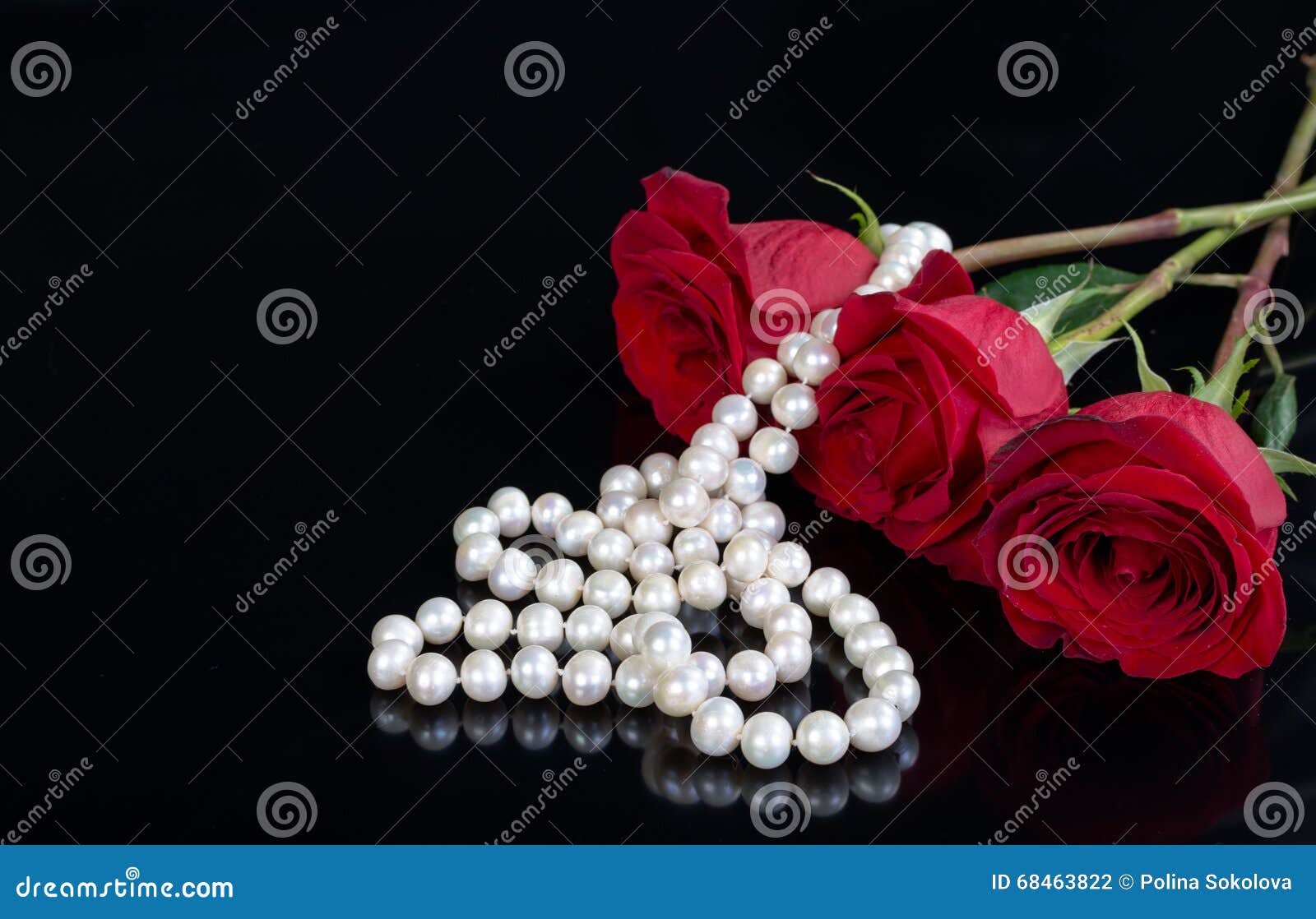 Red Rose and Pearls on Black Background Stock Photo - Image of necklace ...