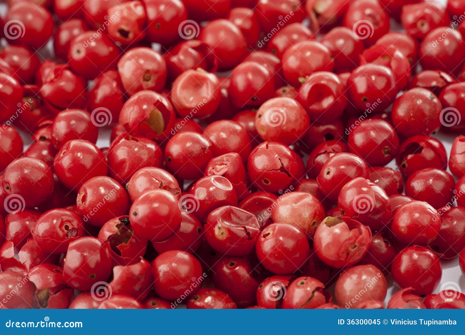 Red Rose Pepper stock image. Image of mexican, freshness - 36300045