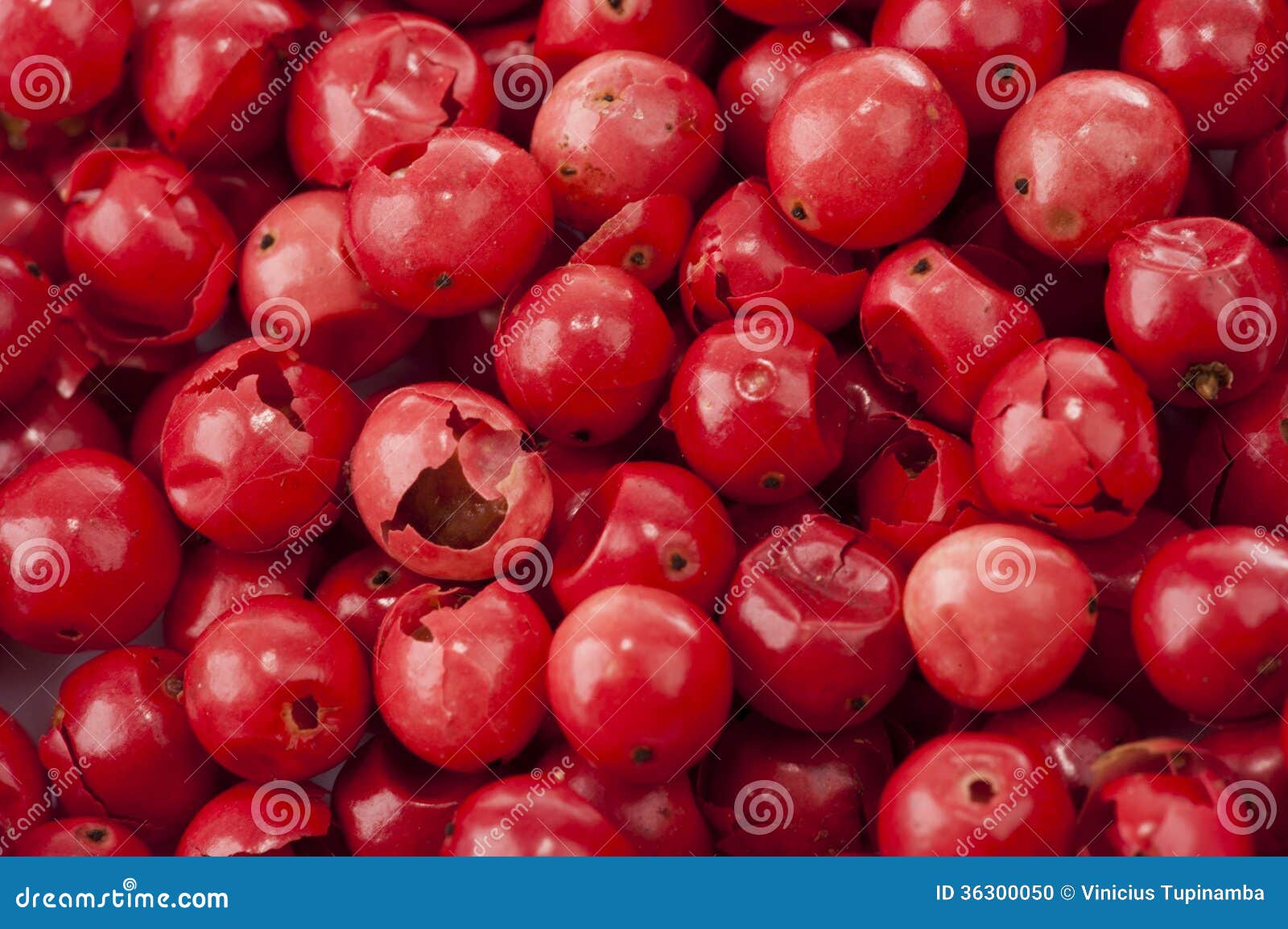 Red Rose Pepper stock photo. Image of healthy, cayenne - 36300050