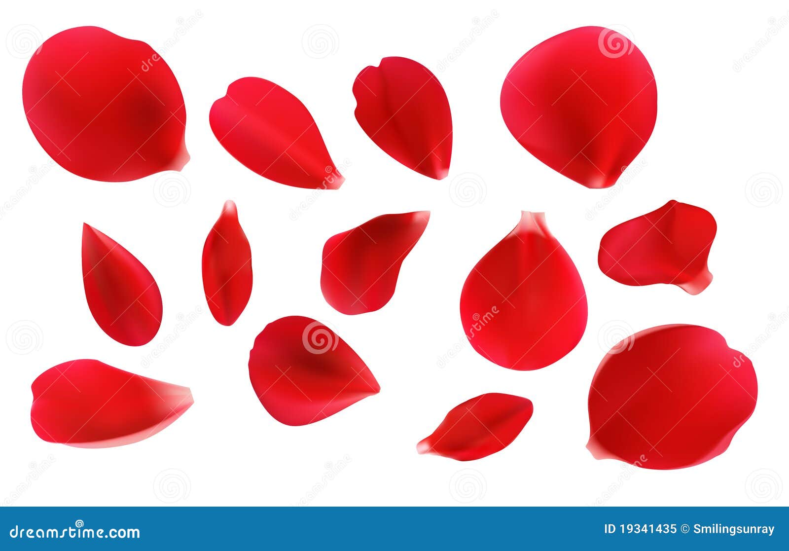 Red rose petals stock vector. Illustration of macro, closeup - 19341435