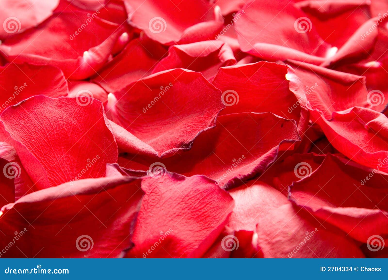 Red rose petals stock photo. Image of close, design, abstract - 2704334
